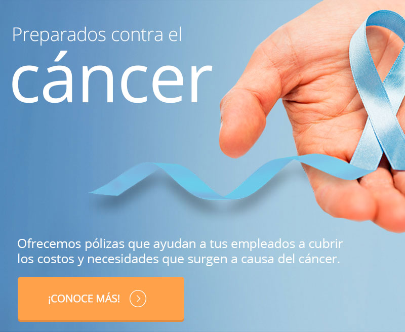 Empresas y Grupos - Triple-S Vida